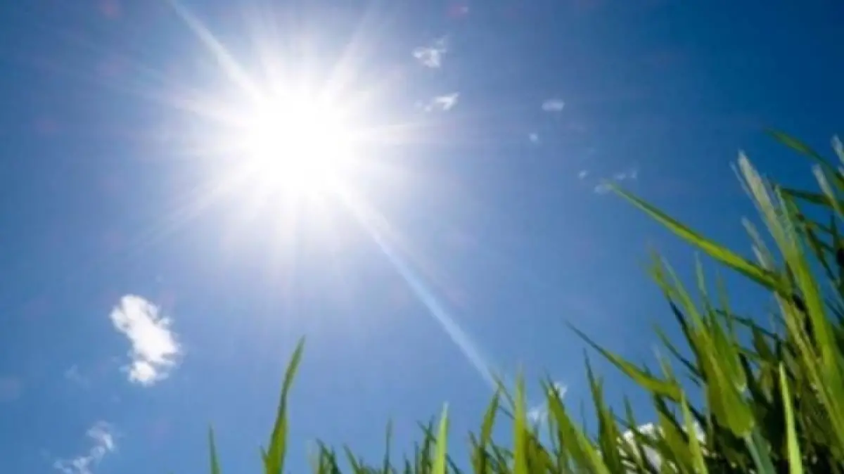 Meteorology: Sunny weather and high temperatures in the UAE today ...