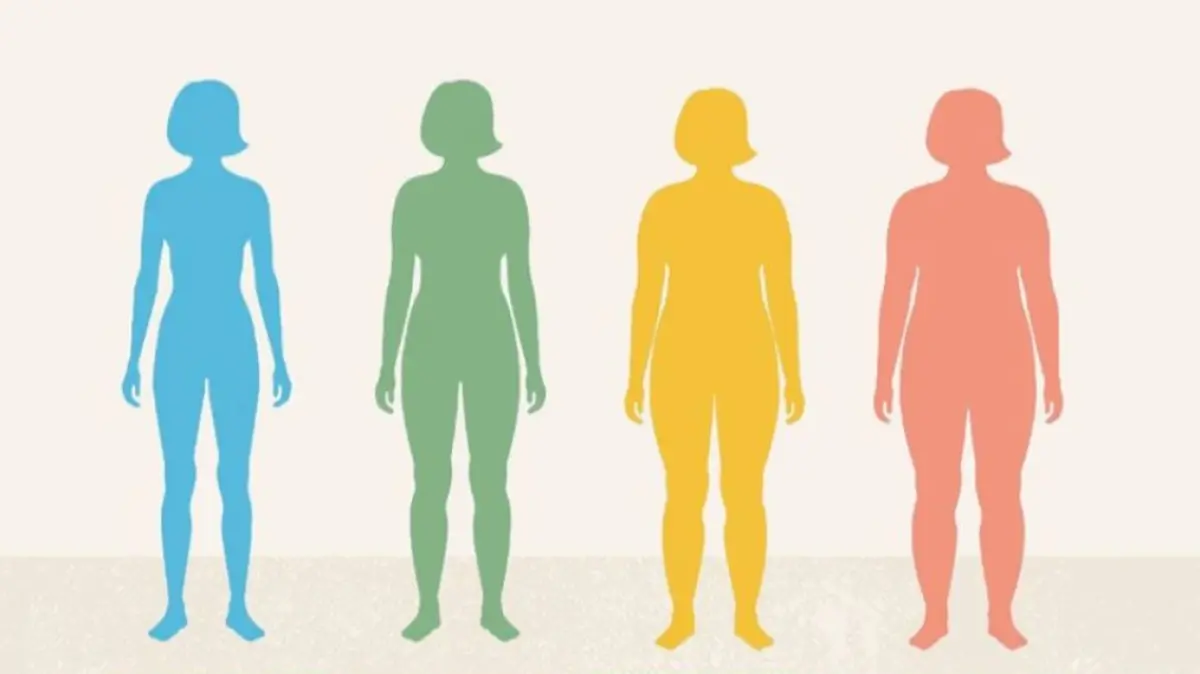 Study Finds Body Fat Percentage More Predictive of Mortality Than BMI ...